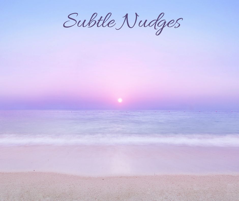 Subtle Nudges – TALES FROM THE BOBBI LAMA